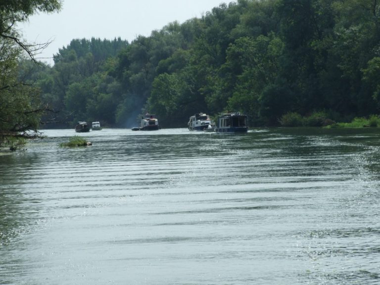 Пета Тамишка Еко-регата (видео)