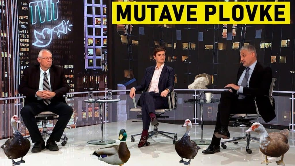 Гњурци рано роне